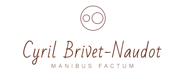 Cyril Brivet-Naudot – AHCI